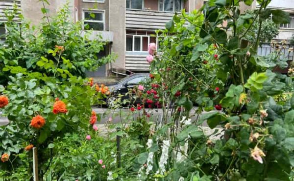 Одного разу я поверталася з роботи і побачила в поштовій скриньці платіжки за комуналку Я